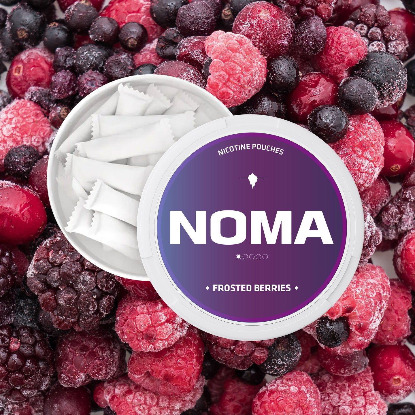 NOMA Nicotine Pouches Malaysia – Tobacco-Free & Smokeless