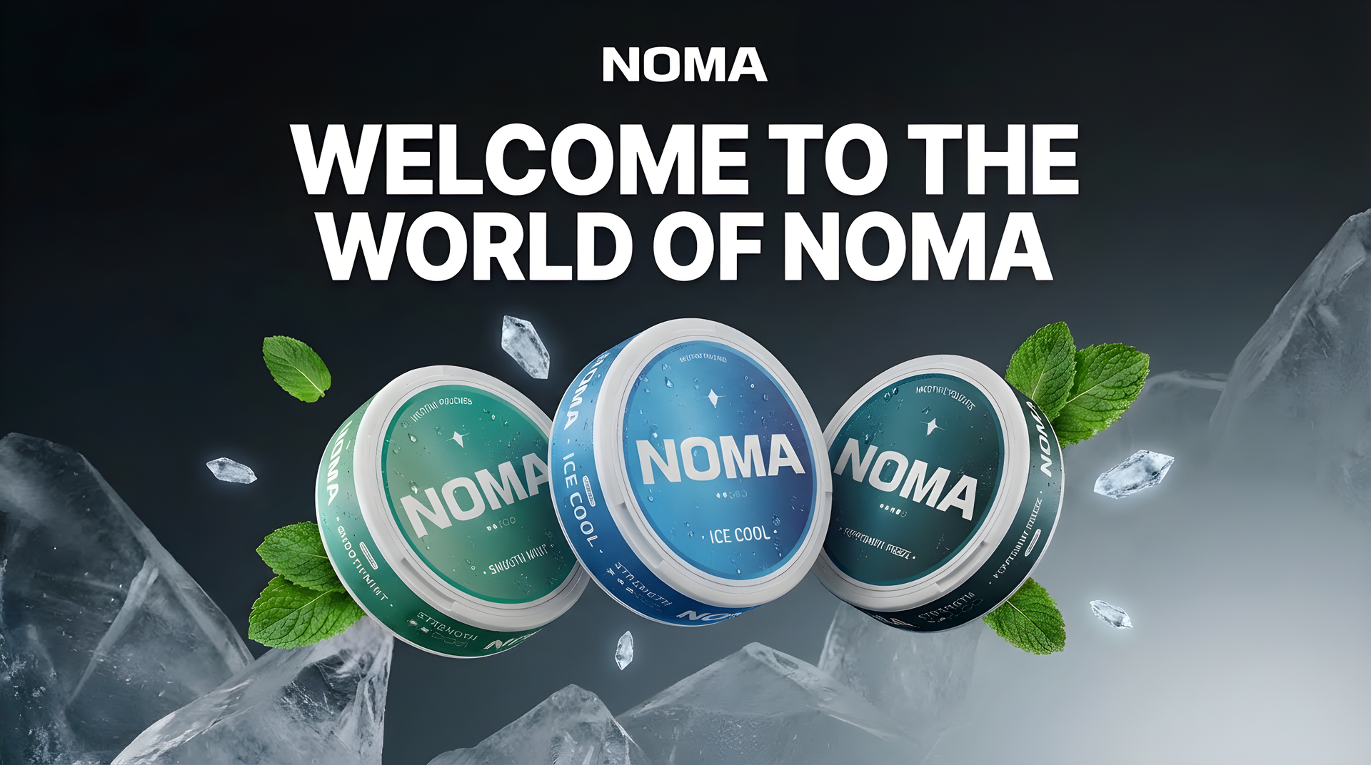 NOMA Nicotine Pouches Malaysia – Tobacco-Free & Smokeless